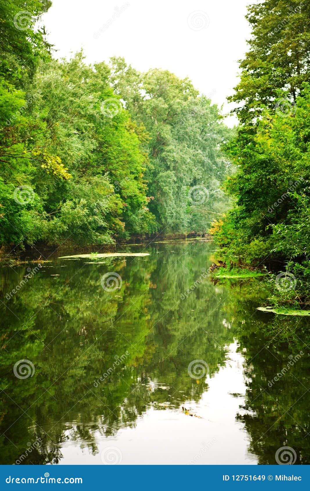 River in forest stock image. Image of outdoors, lake - 12751649