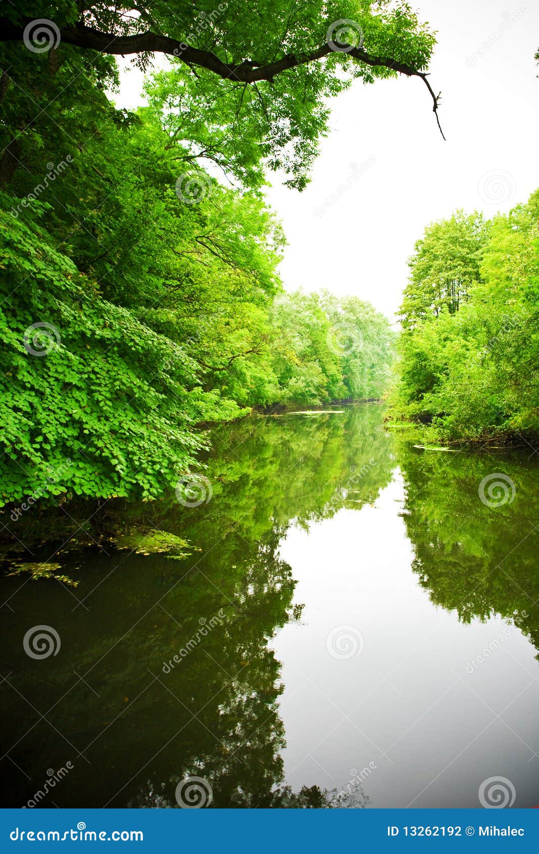River in forest stock photo. Image of lake, outdoors - 13262192