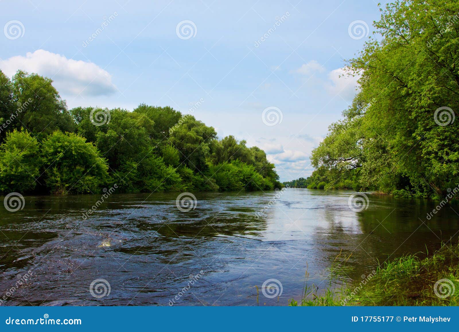 River in forest stock image. Image of landscape, tree - 17755177