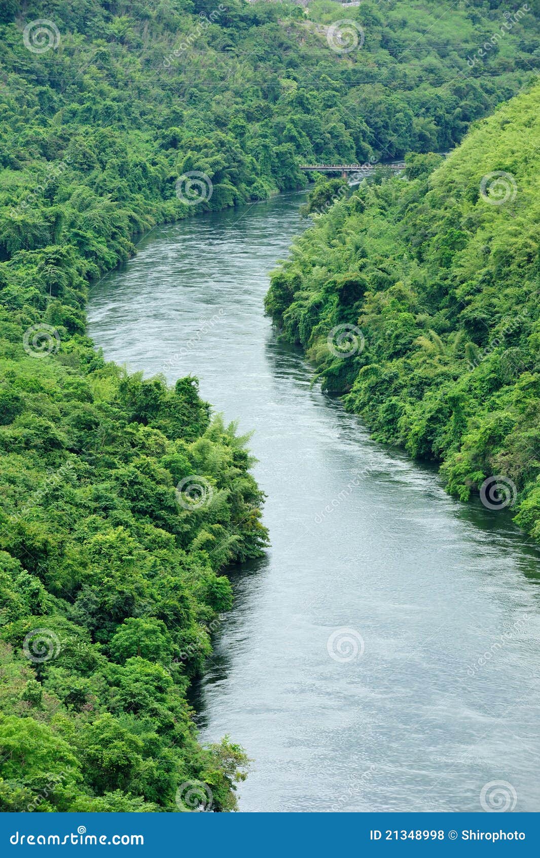 The river in forest stock photo. Image of park, natural - 21348998