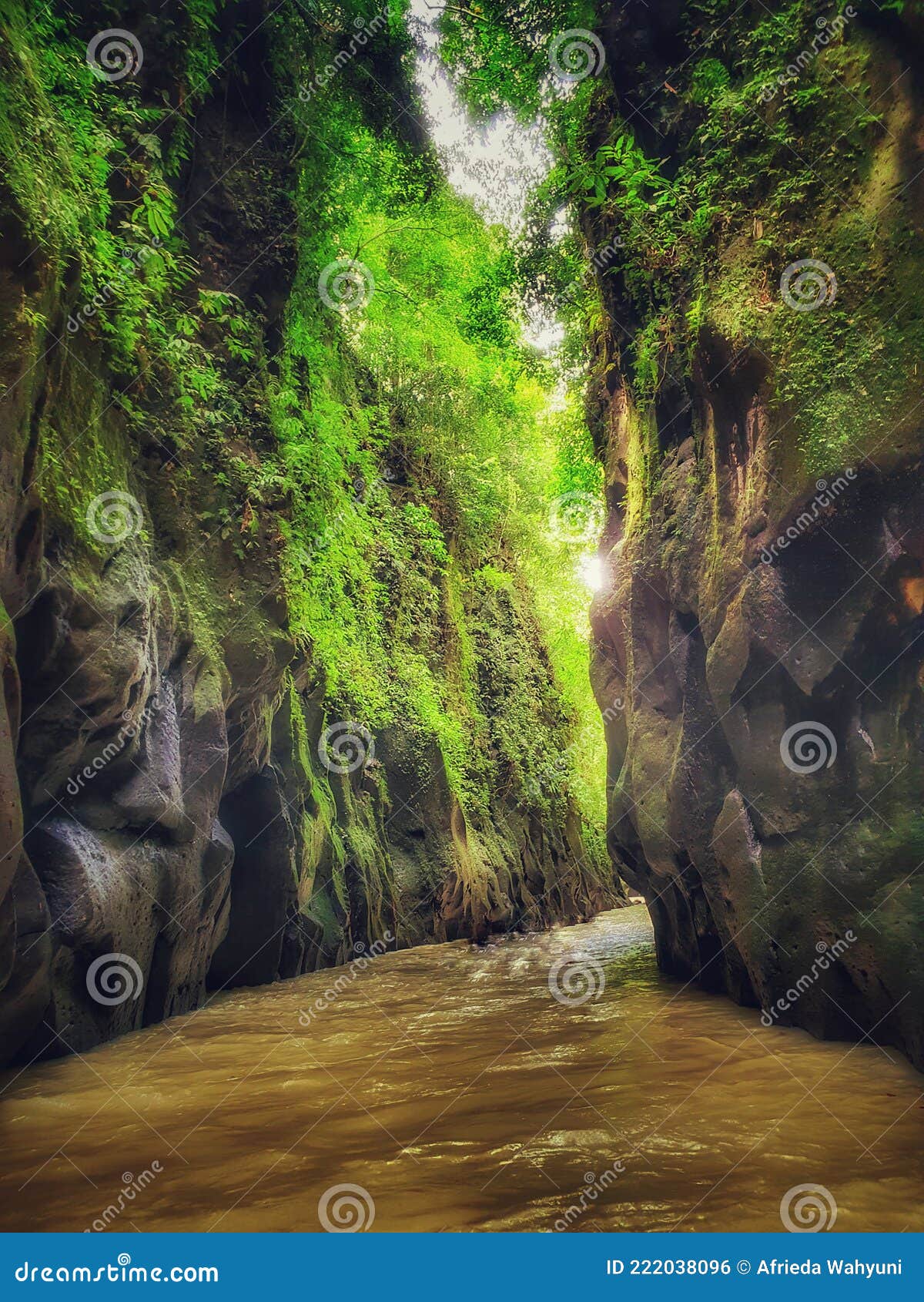 River and forest stock photo. Image of waterfall, cliff - 222038096