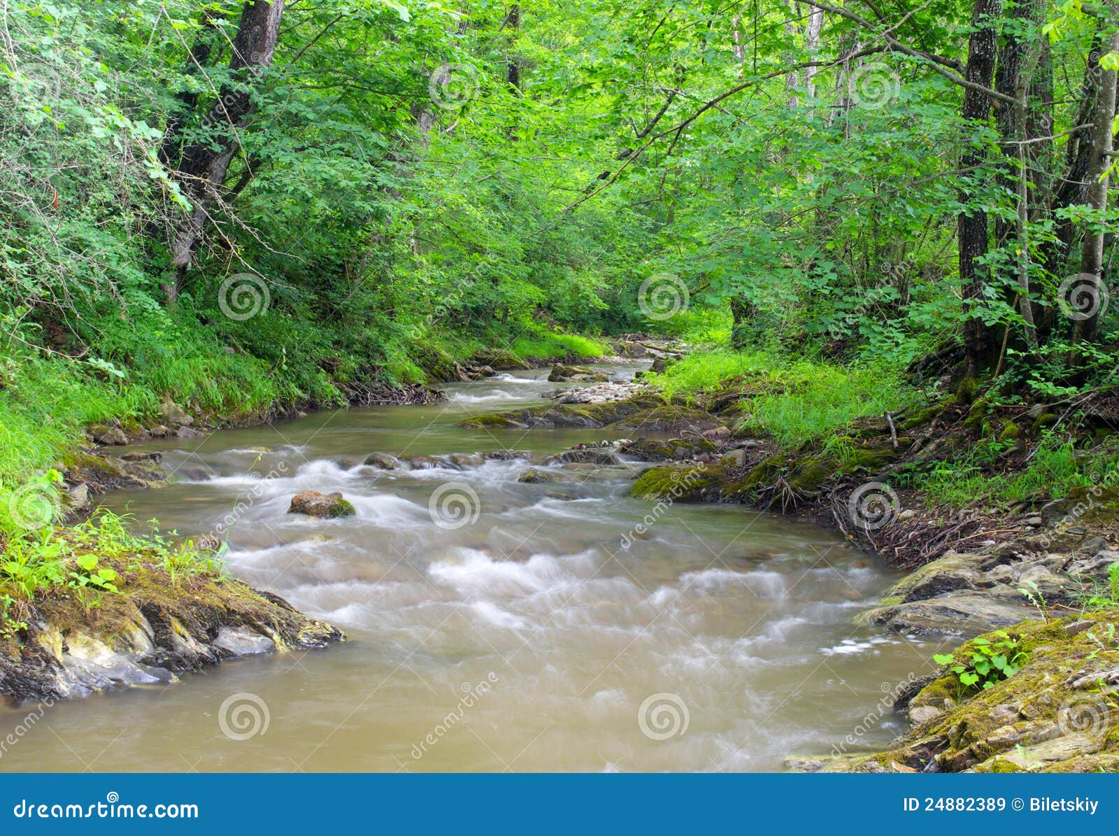 River in forest stock image. Image of mountain, serene - 24882389
