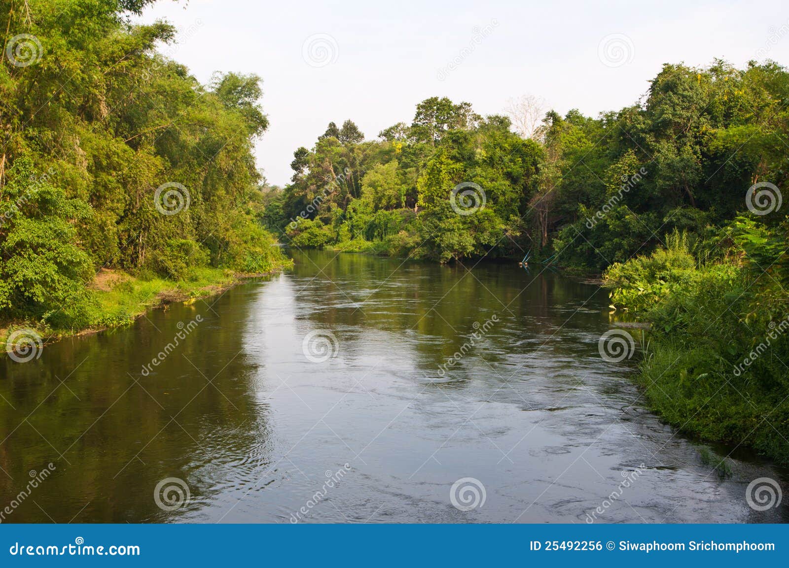 The river and forest stock photo. Image of bangkok, nature - 25492256