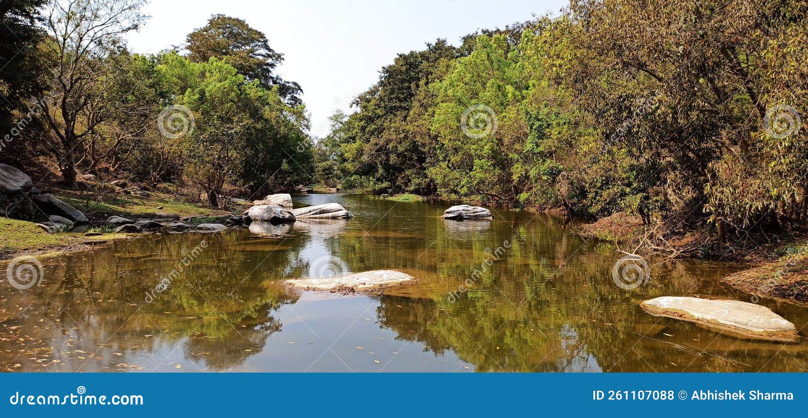 River and Forest stock photo. Image of reflection, nature - 261107088