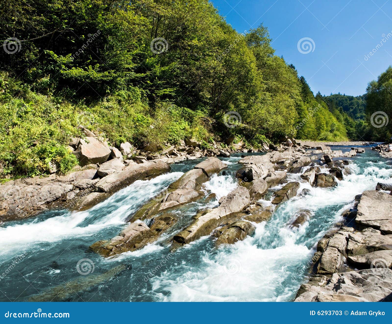 River in forest stock image. Image of stream, river, country - 6293703