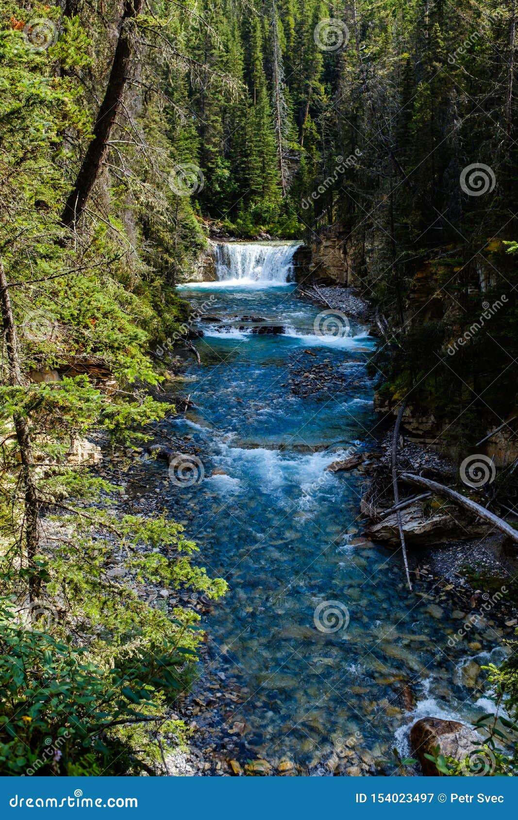 River in a Forest in Canada Stock Image - Image of needle, landscape ...