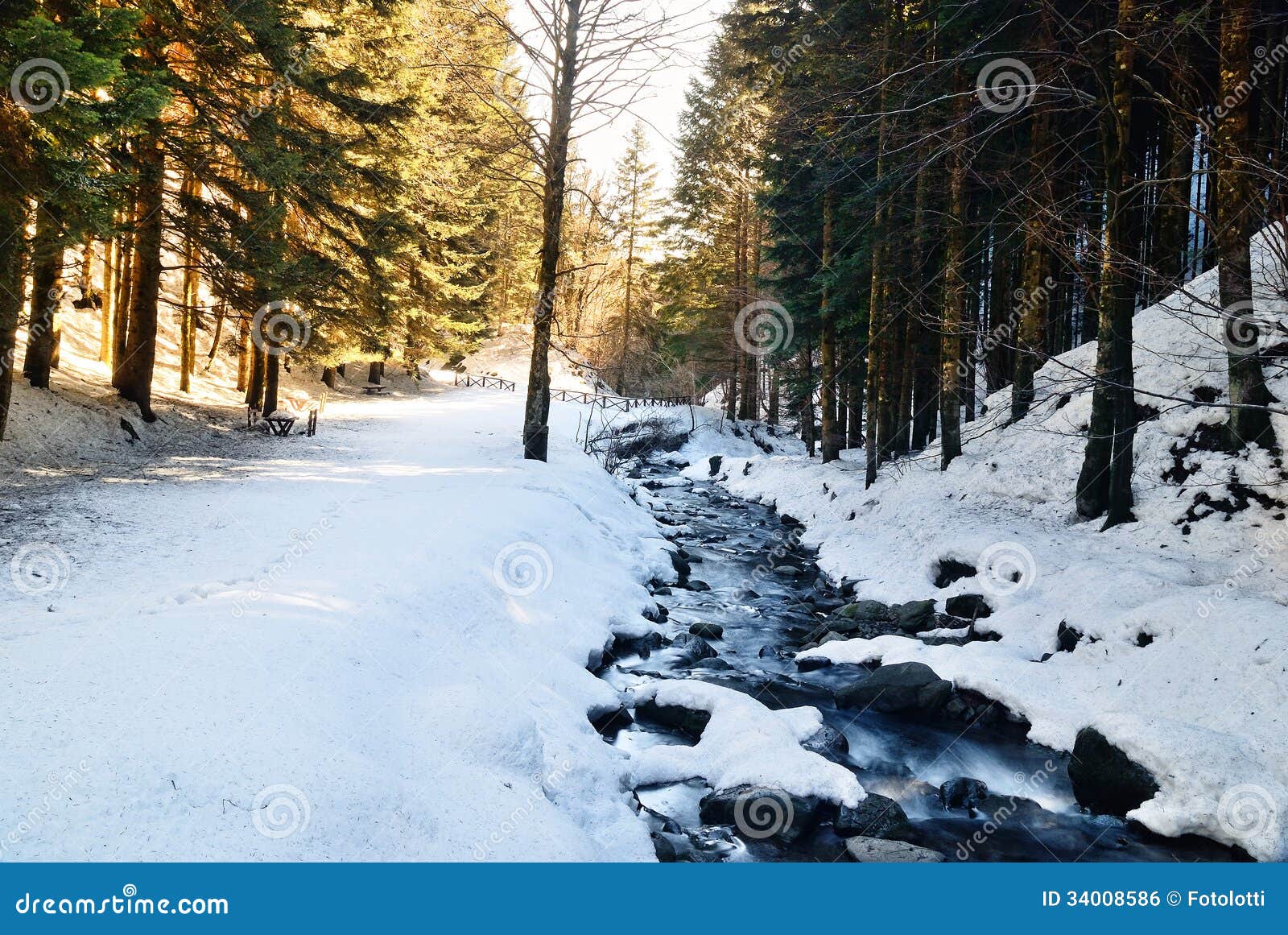 River in the forest stock photo. Image of waterfall, forest - 34008586