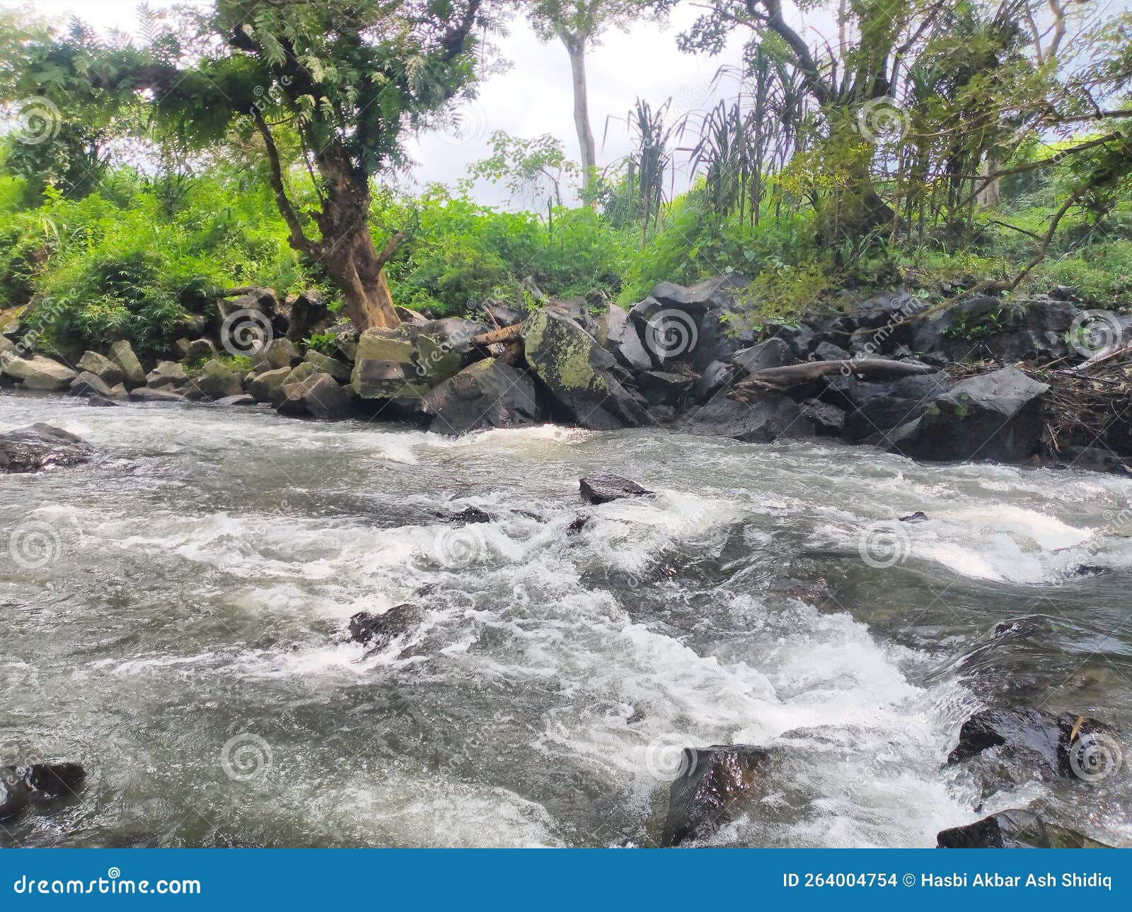 River on Forest Curug Bengkawah Pemalang Central Java Stock Photo ...
