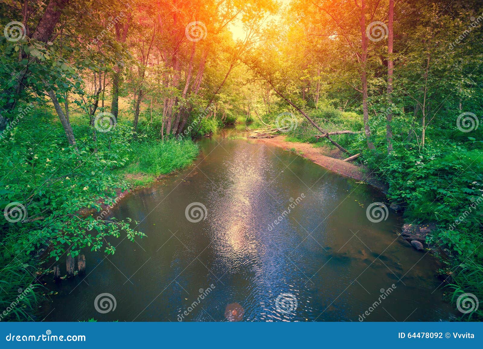 River in the forest stock photo. Image of orange, creek - 64478092