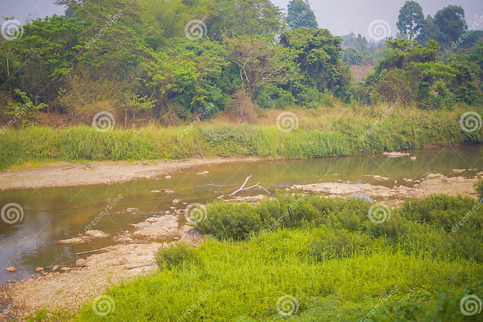 The River in the Forest with a Dry Natural Environment Climate Stock ...