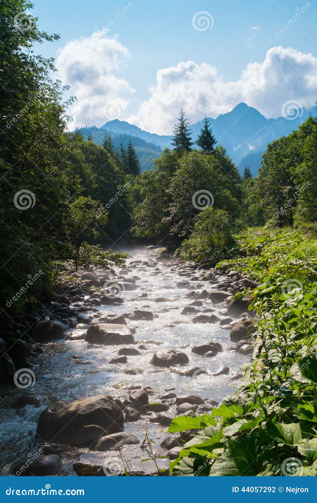 River in a forest stock photo. Image of europe, mountain - 44057292