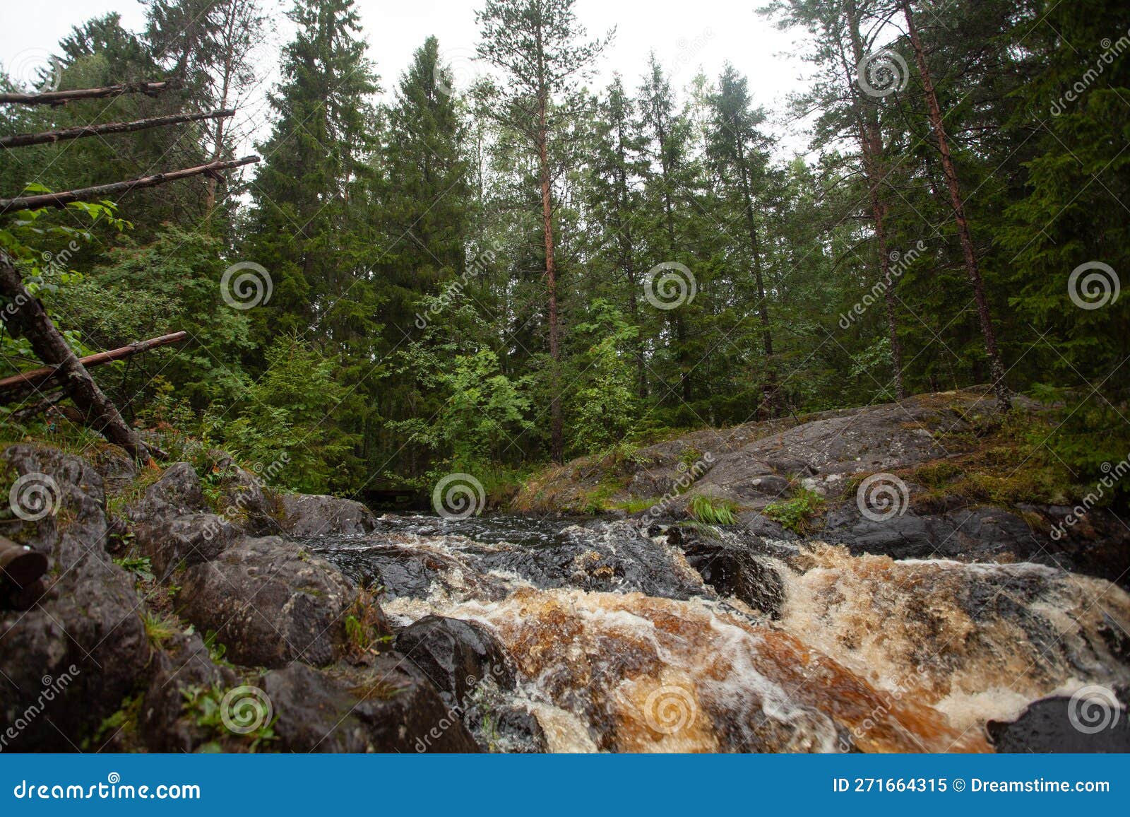 River in Forest, Fast Water Flow Stock Image - Image of environment ...