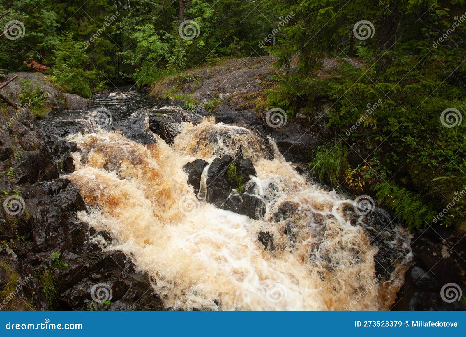 River in Forest, Fast Water Flow, Waterfall Stock Image - Image of ...