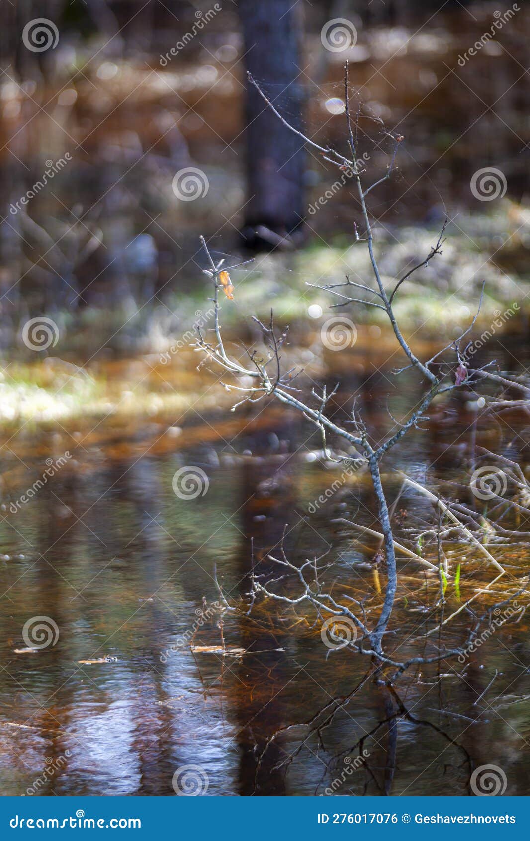 The River of the Forest Has Overflowed. a Withered Bush Stands in the ...