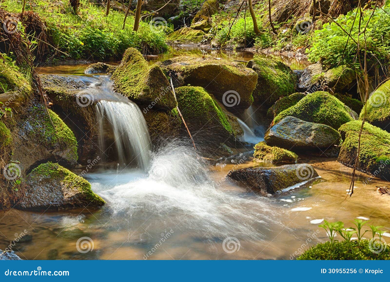 The River in the Forest - HDR Stock Photo - Image of river, natural ...