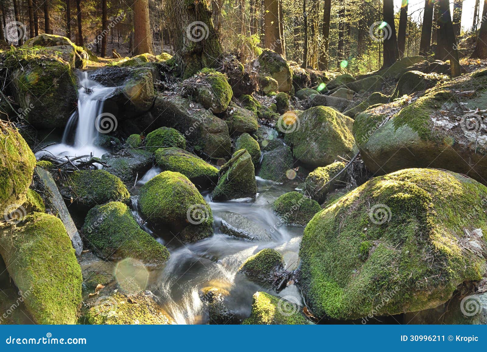The River in the Forest - HDR Stock Image - Image of peaceful, fluid ...