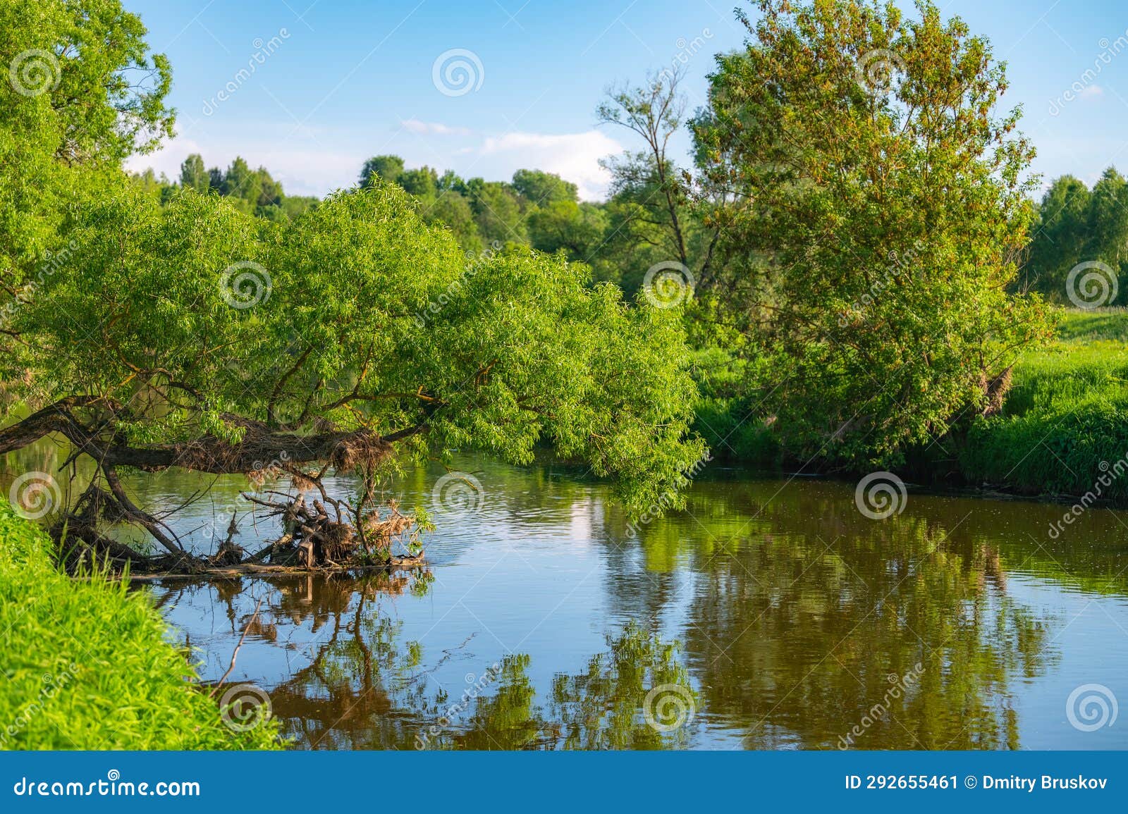 River forest landscape stock image. Image of mountain - 292655461