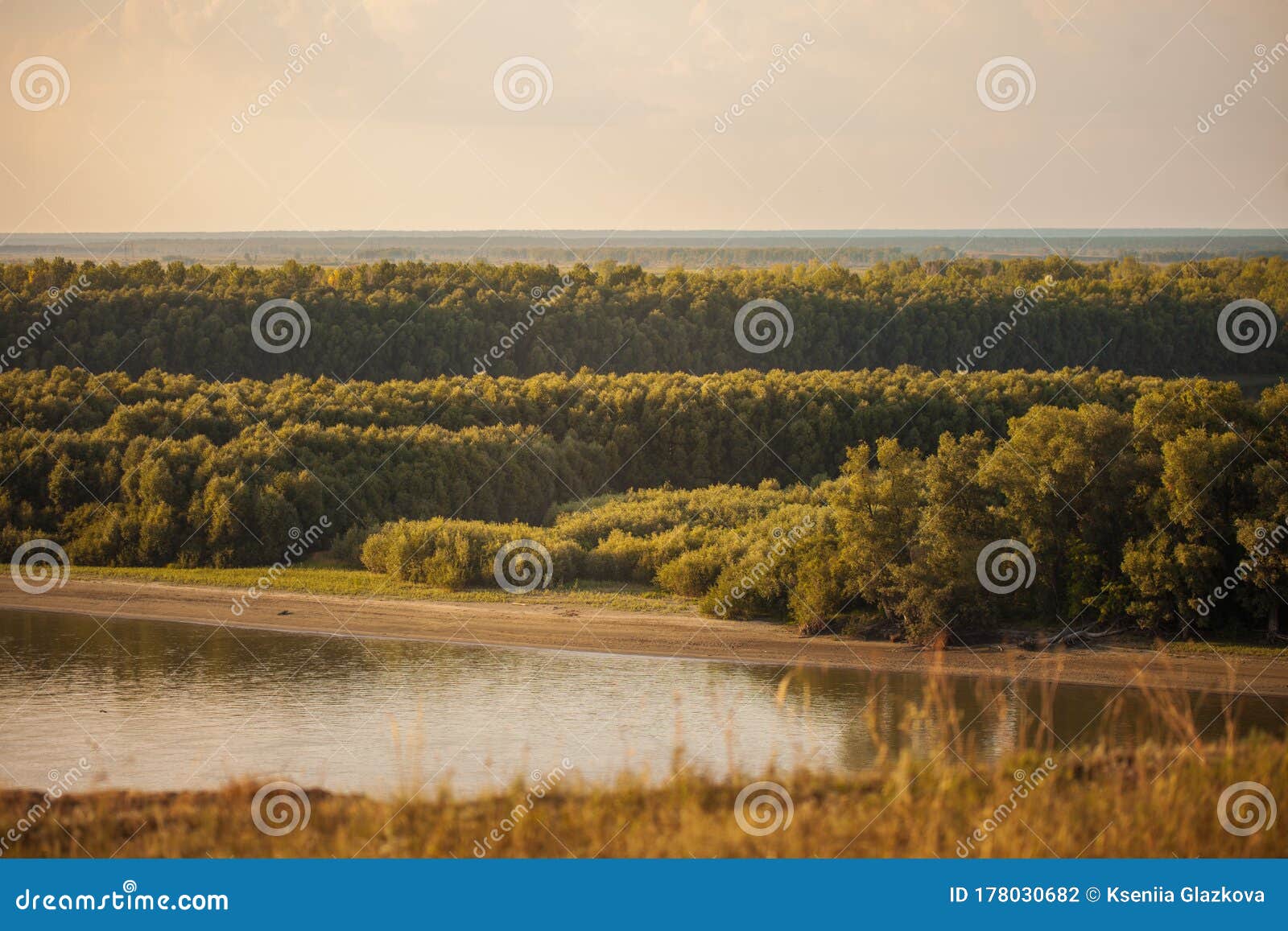 River and Forest Landscape. Dramatic Creepy Stock Photo - Image of ...