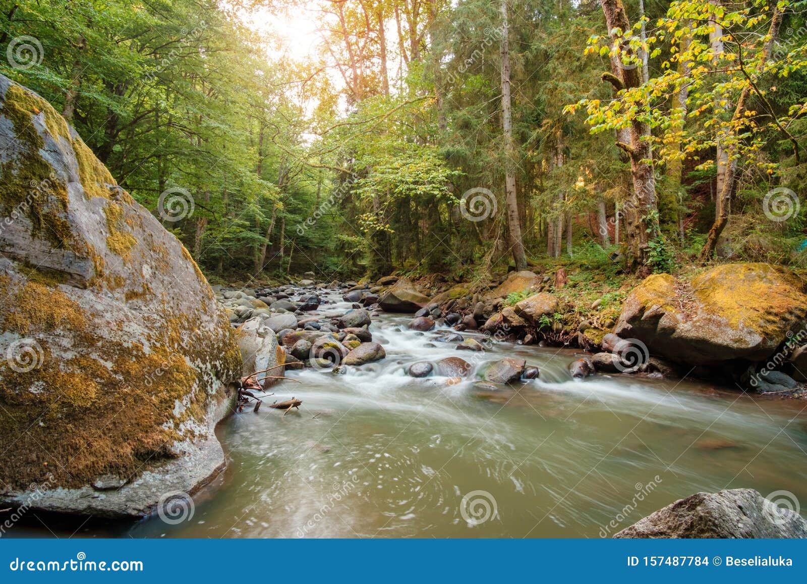 River in the forest stock photo. Image of season, recreation - 157487784