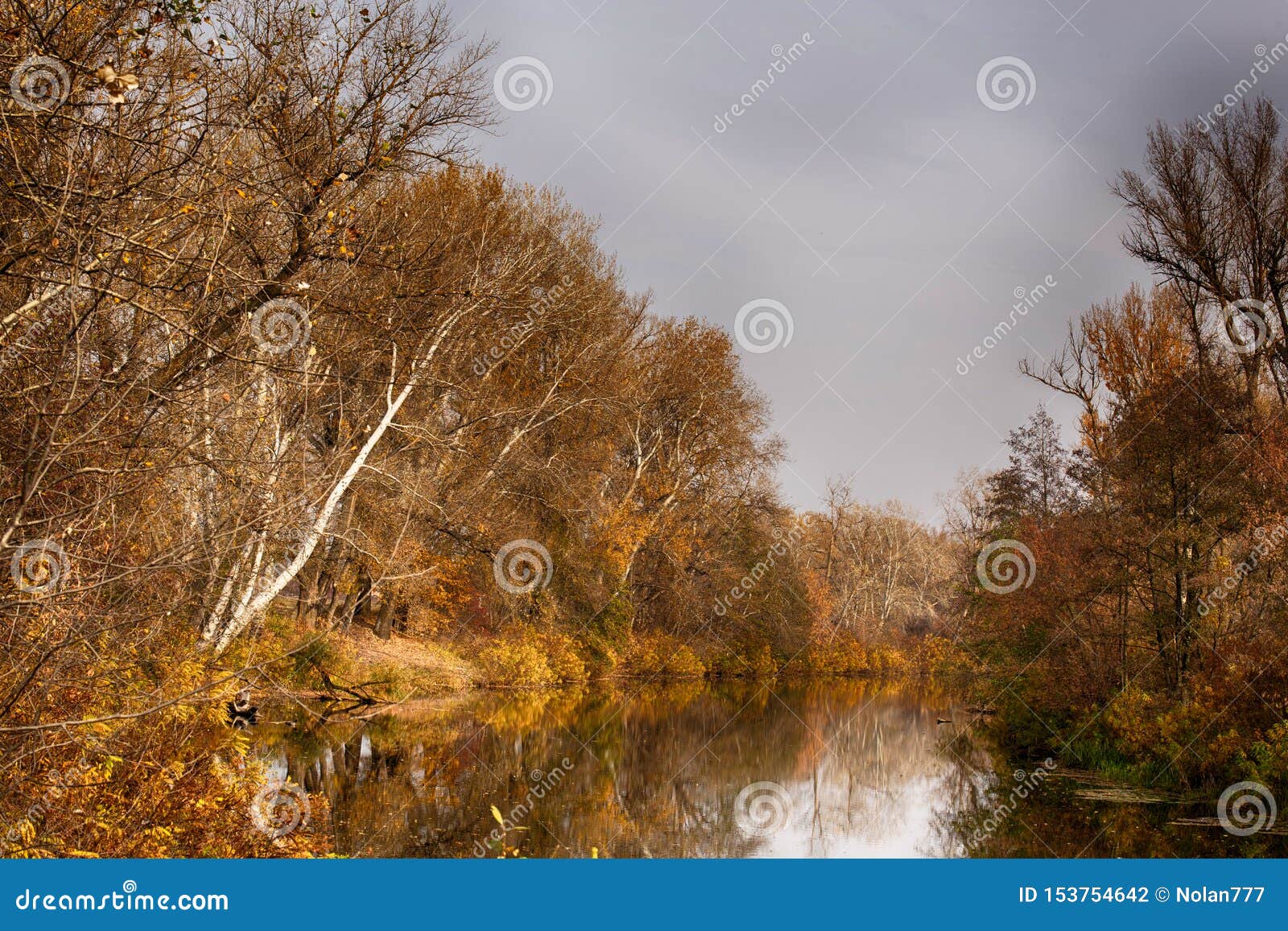 River in the Forest on a Overcast Autumn Day Stock Photo - Image of ...