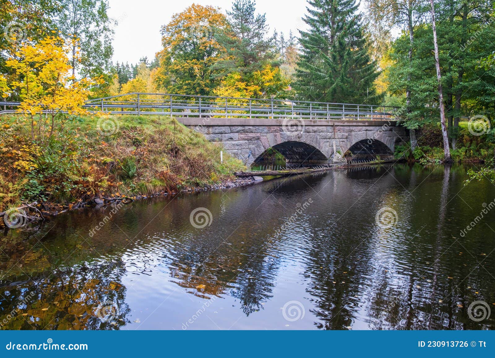 River in the Forest with a Road Bridge Stock Photo - Image of beautiful ...