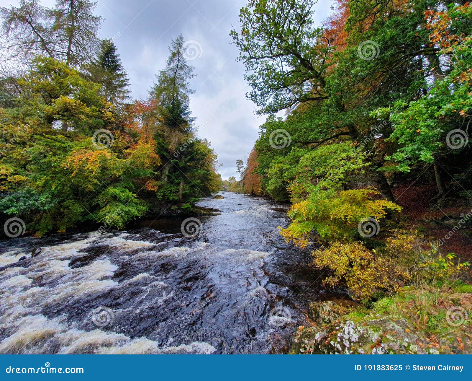 River in Forest - Scotland stock image. Image of speyside - 191883625