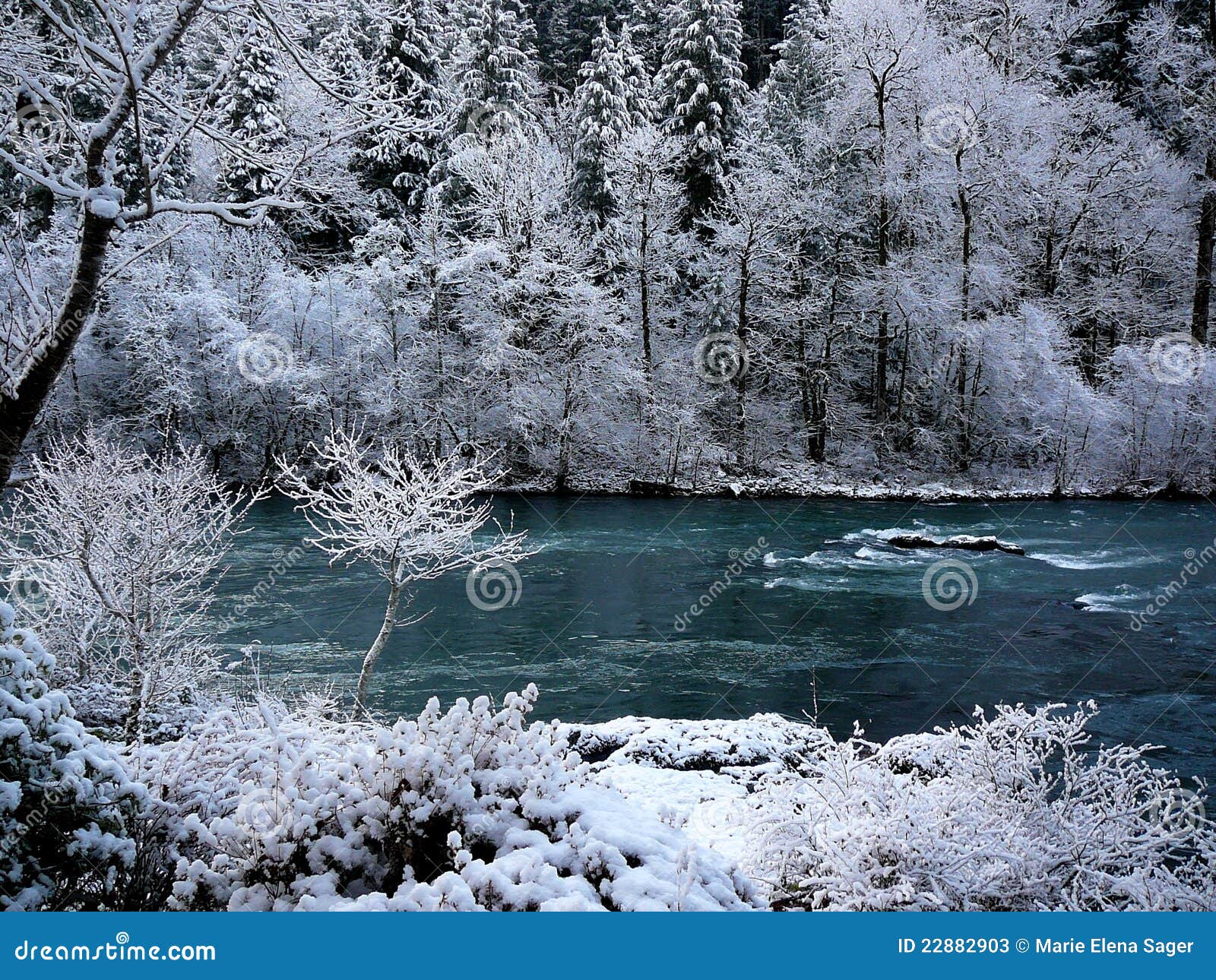 River in forest with snow stock image. Image of wintry - 22882903