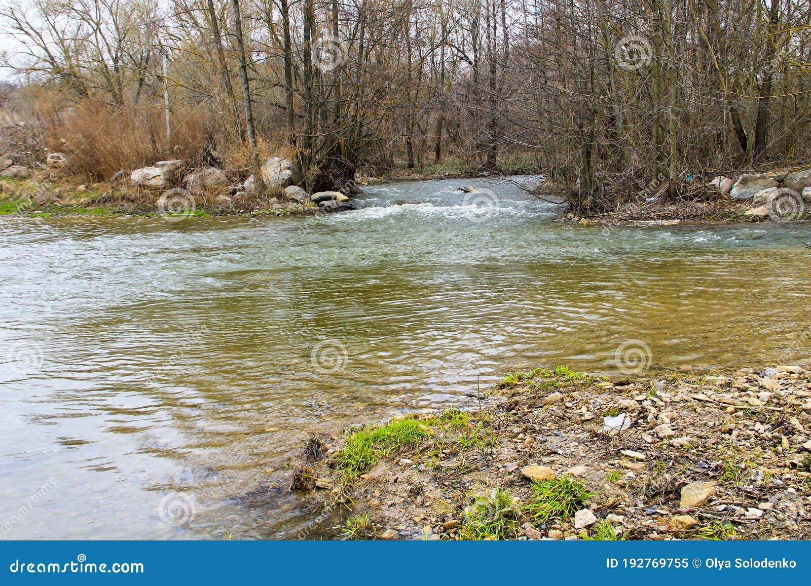 River in forest on spring stock image. Image of rapid - 192769755
