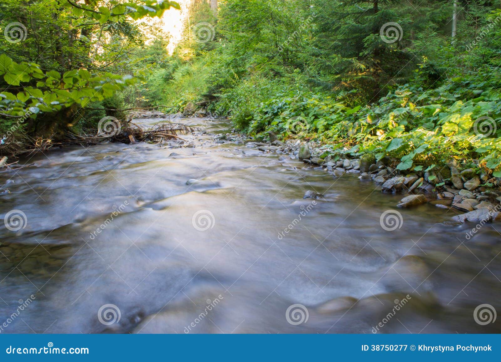 River in forest stock image. Image of leaf, environment - 38750277