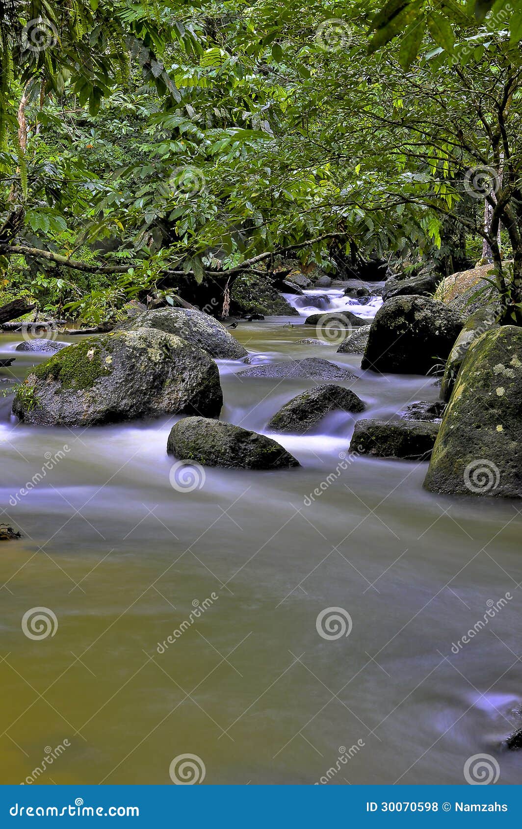 River through forest stock photo. Image of tree, rain - 30070598