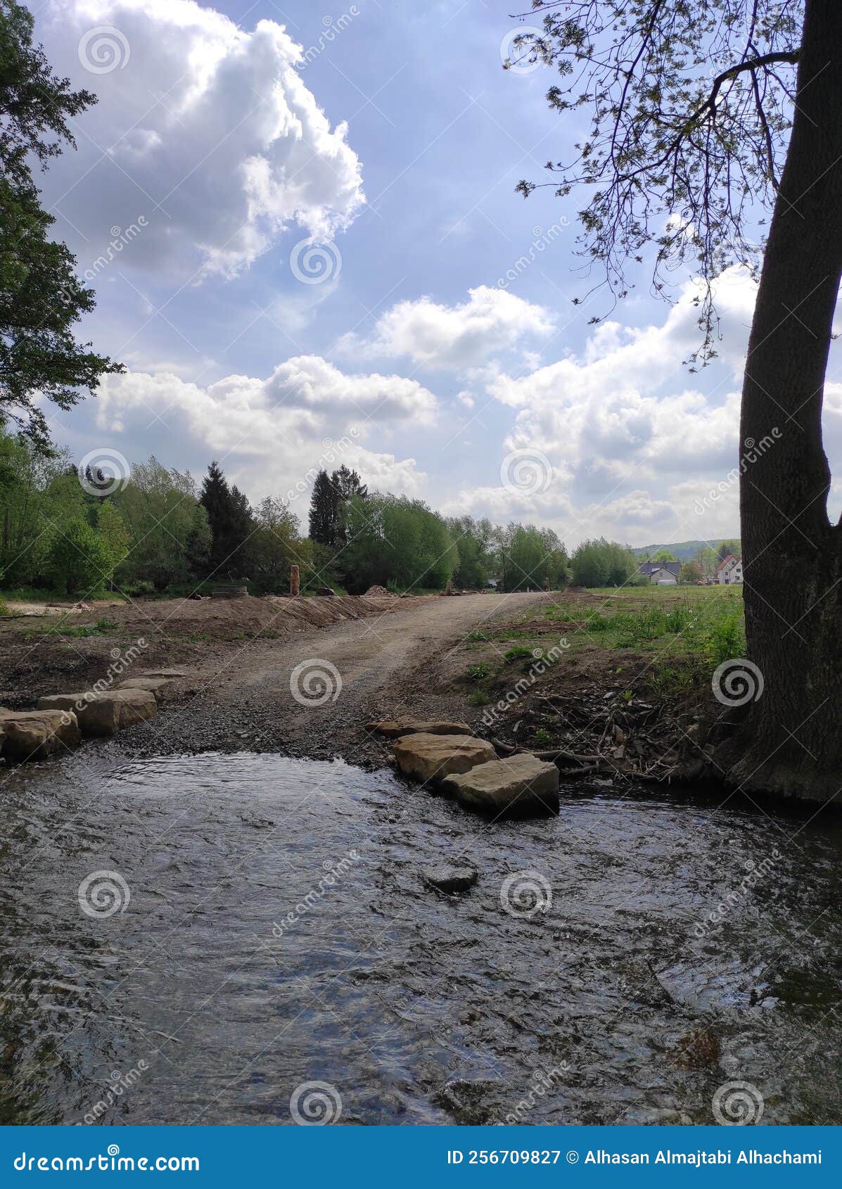 River in the Forest and Trees at the End of the Road Stock Image ...