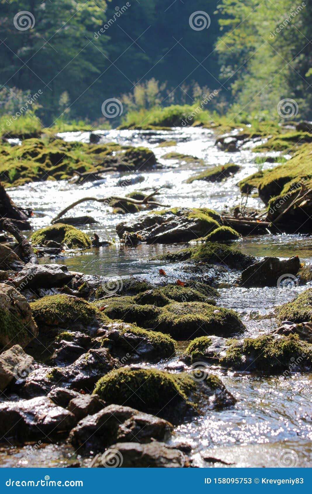 River in the forest water stock image. Image of flow - 158095753