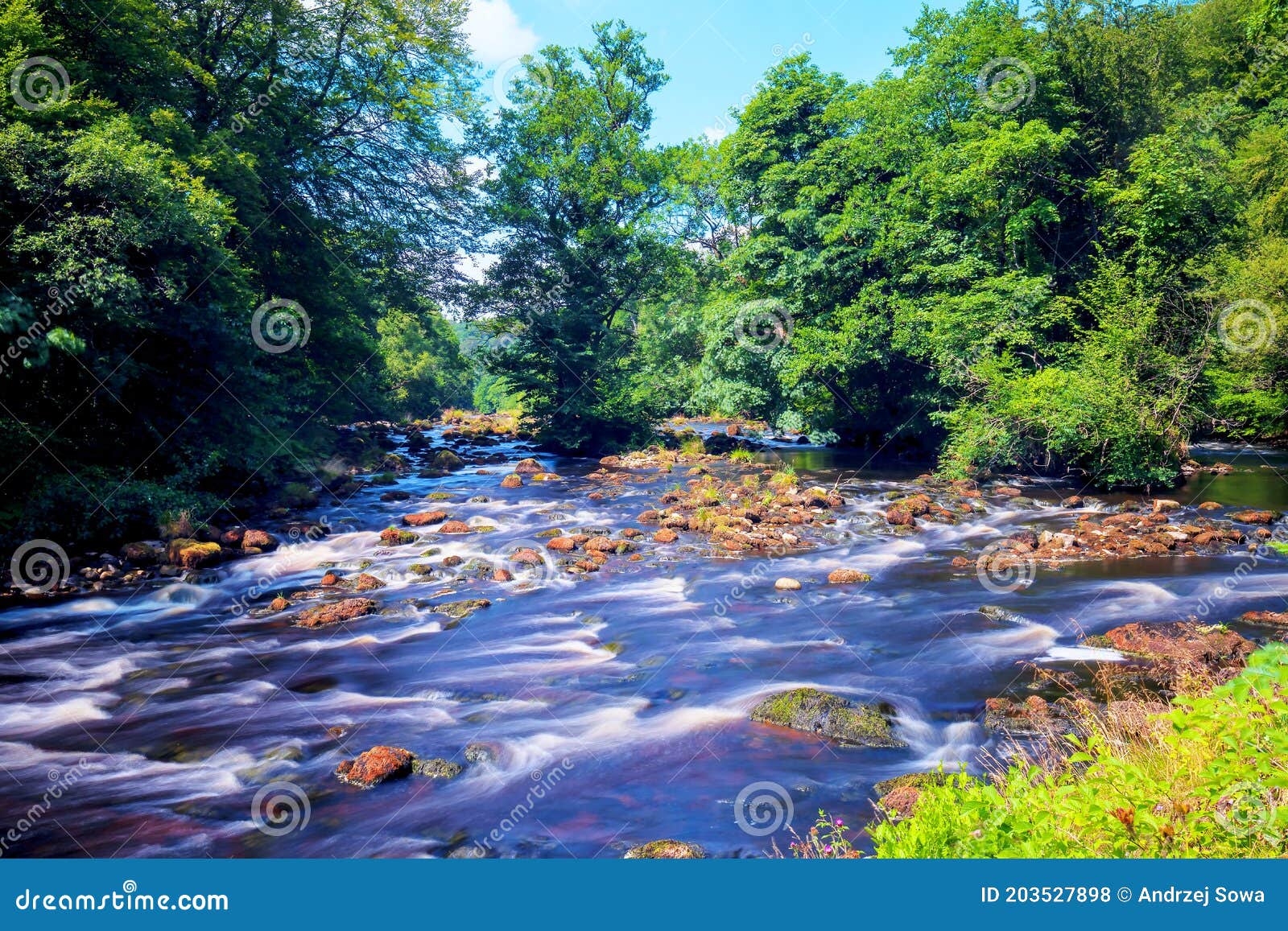 River in the Forest .Yorkshire, Great Britain. Stock Photo - Image of ...