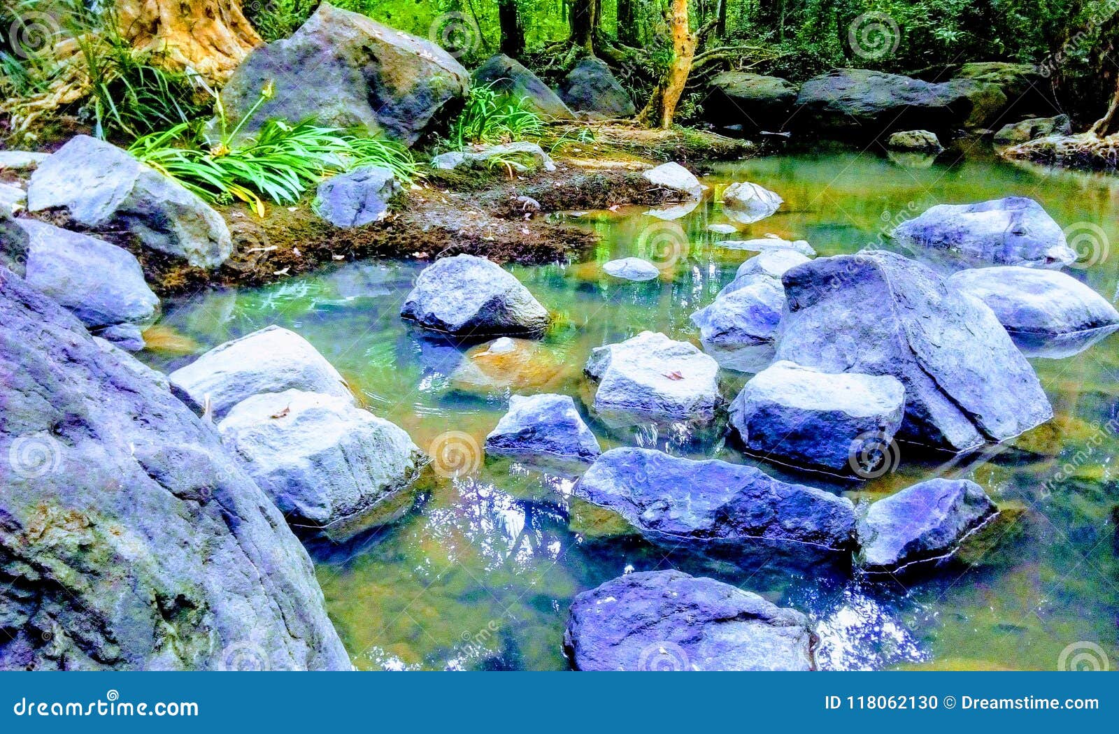 River stock photo. Image of lanka, hasalaka, colombo - 118062130