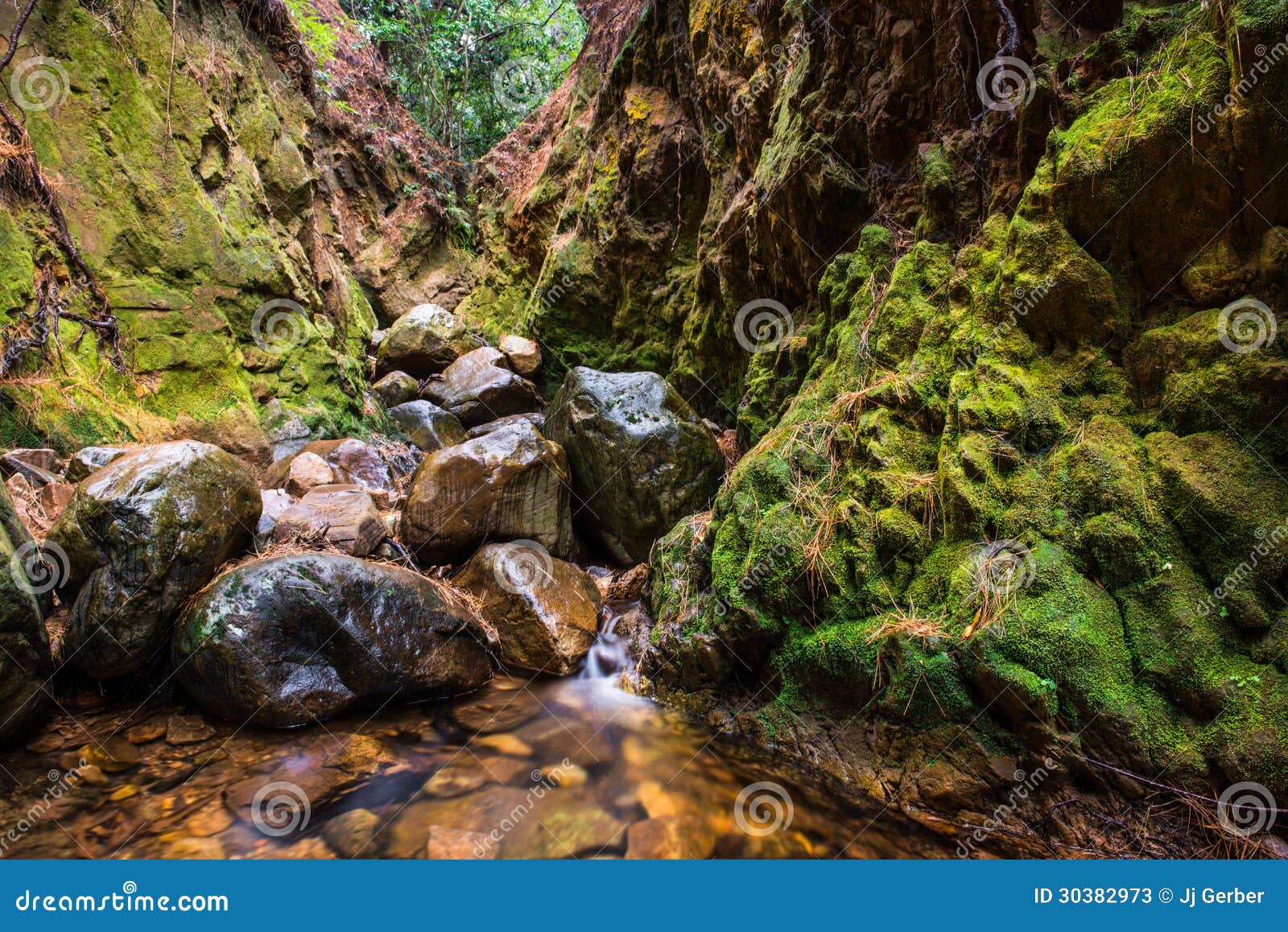 River in the forrest stock image. Image of flowing, rock - 30382973