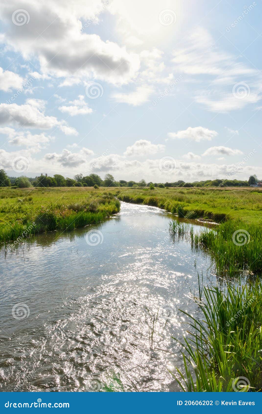 River Frome scenic stock photo. Image of ripple, scene - 20606202