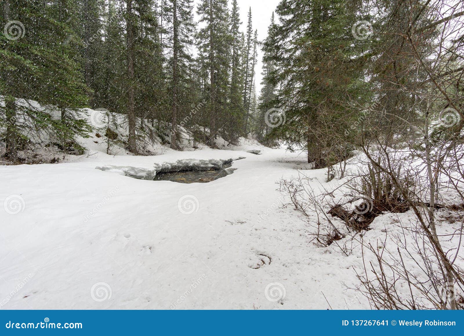 Snow Covered River stock image. Image of snowcap, fall - 137267641