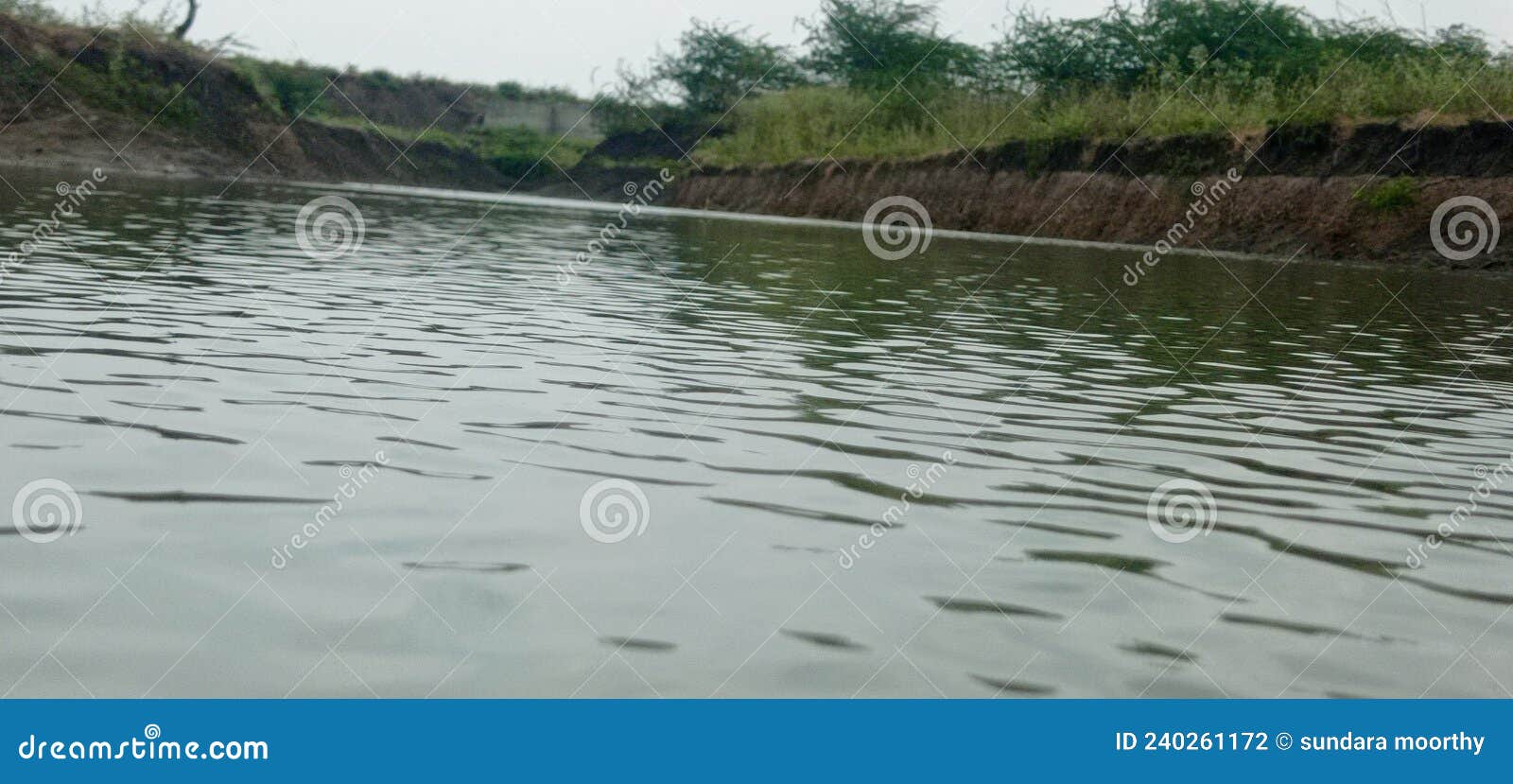 The River Full of Rain Water Stock Photo - Image of rain, river: 240261172