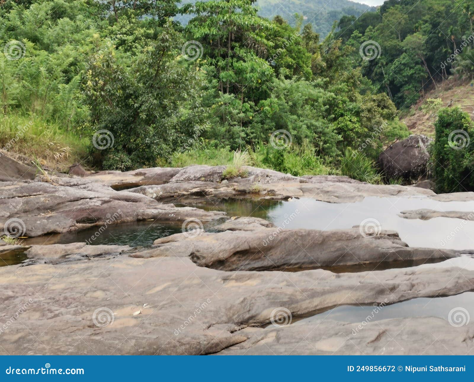 River with Full of Water Ponds Stock Photo - Image of pond, trail ...
