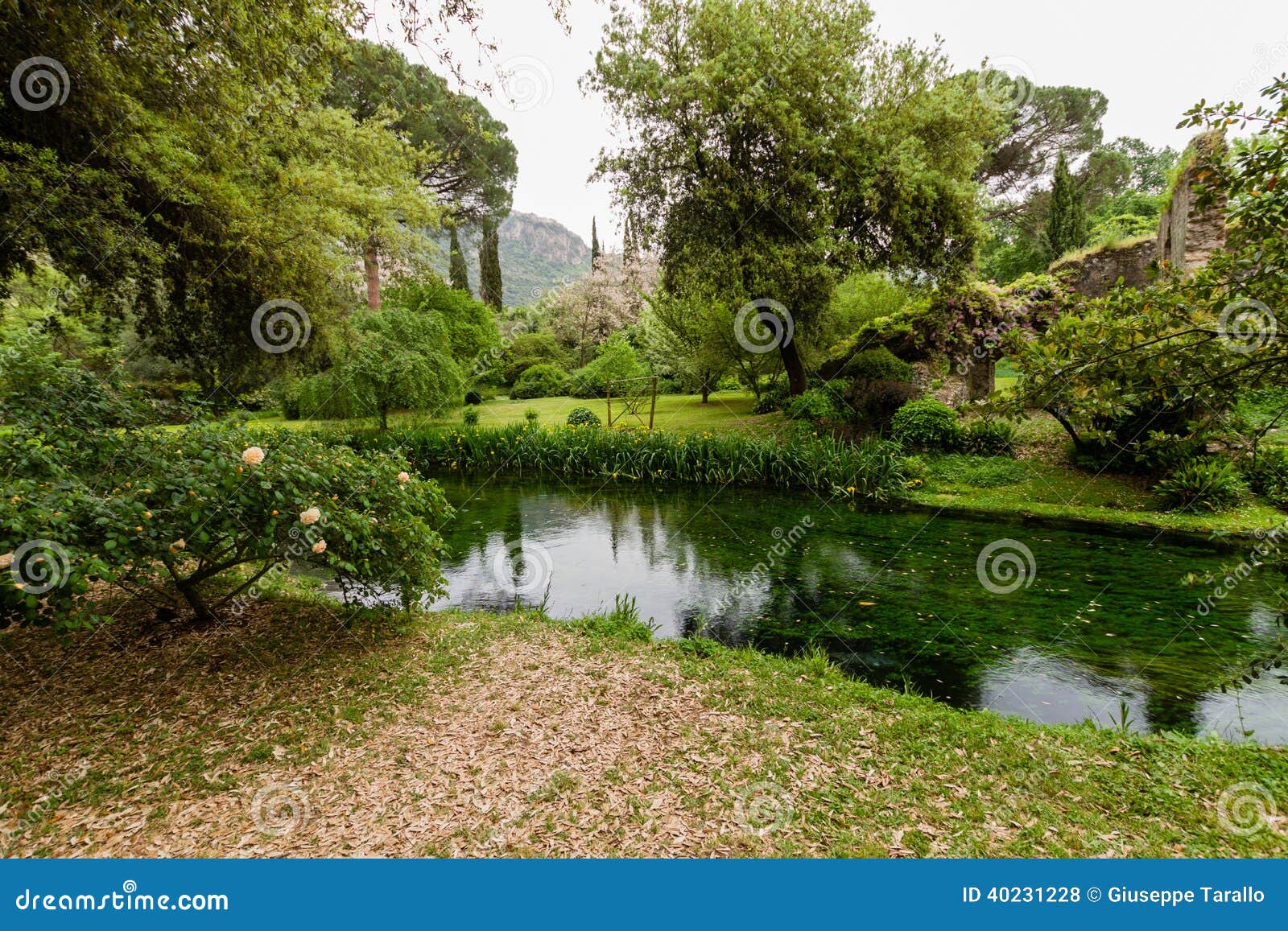 River at Garden of Nympha stock photo. Image of travel - 40231228