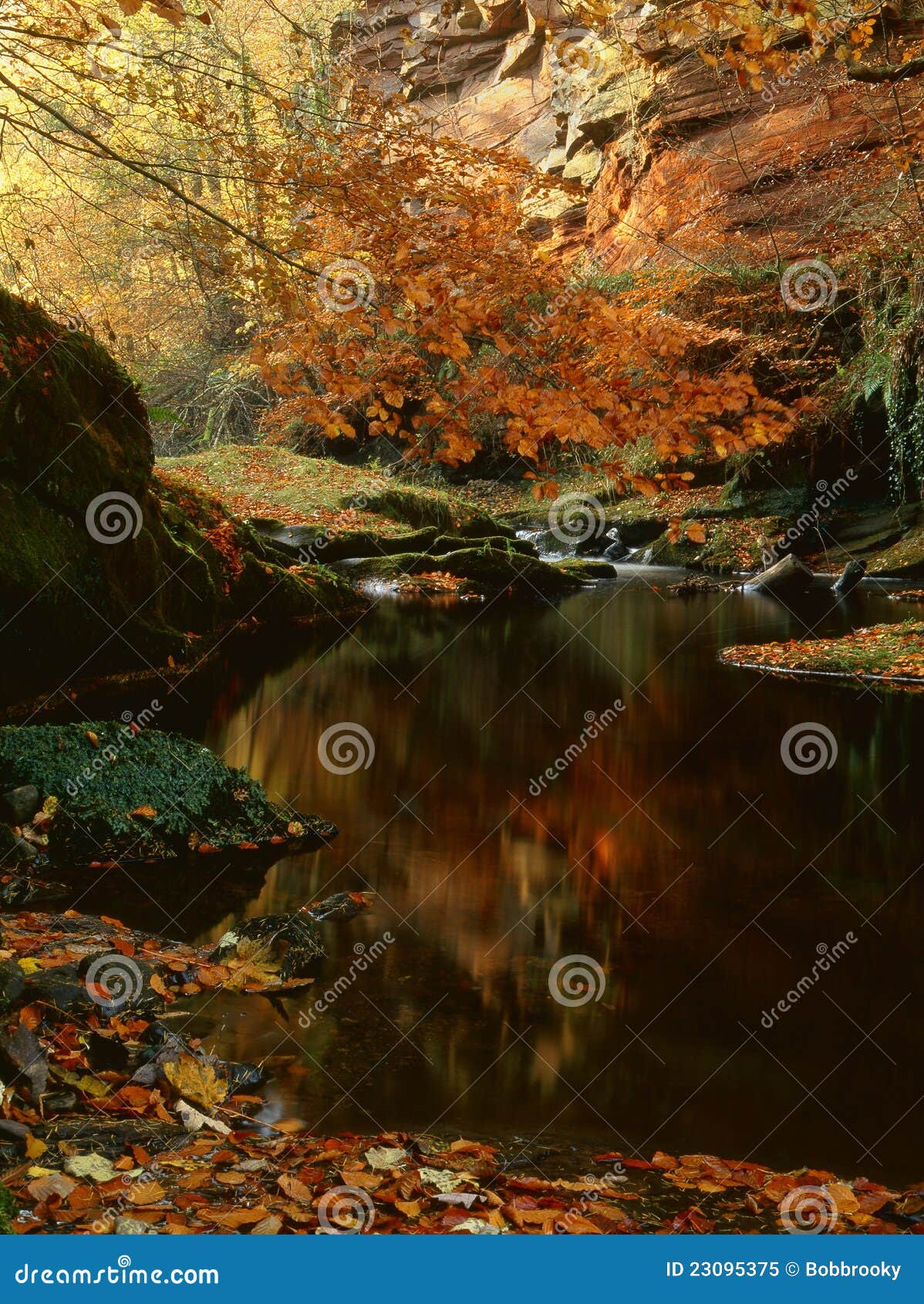River Gelt, Sandstone Cliffs, Cumbria Stock Image - Image of autumnal ...