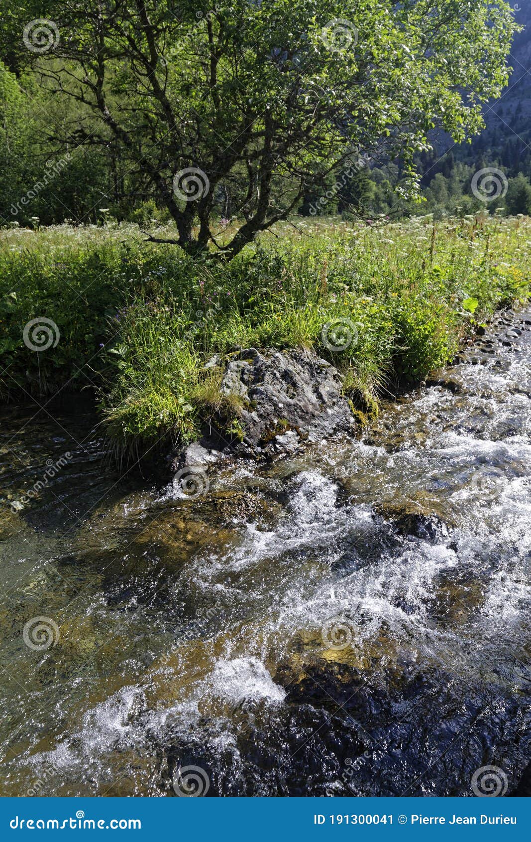 A River Goes Throught a Beautiful Landscape Stock Image - Image of ...