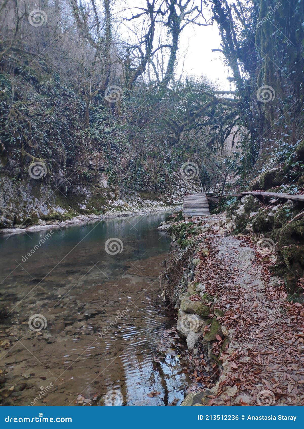 The Surface of a Mountain River Stock Photo - Image of tropical ...