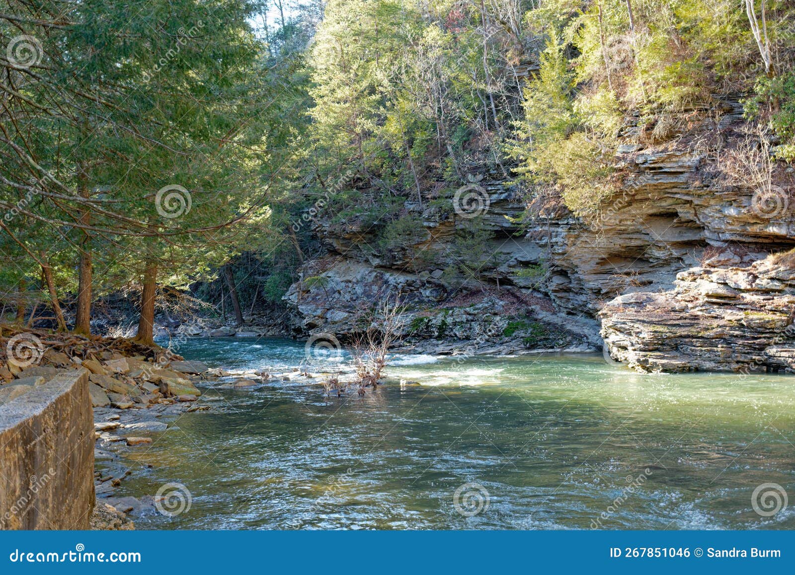 River through a gorge stock photo. Image of movement - 267851046