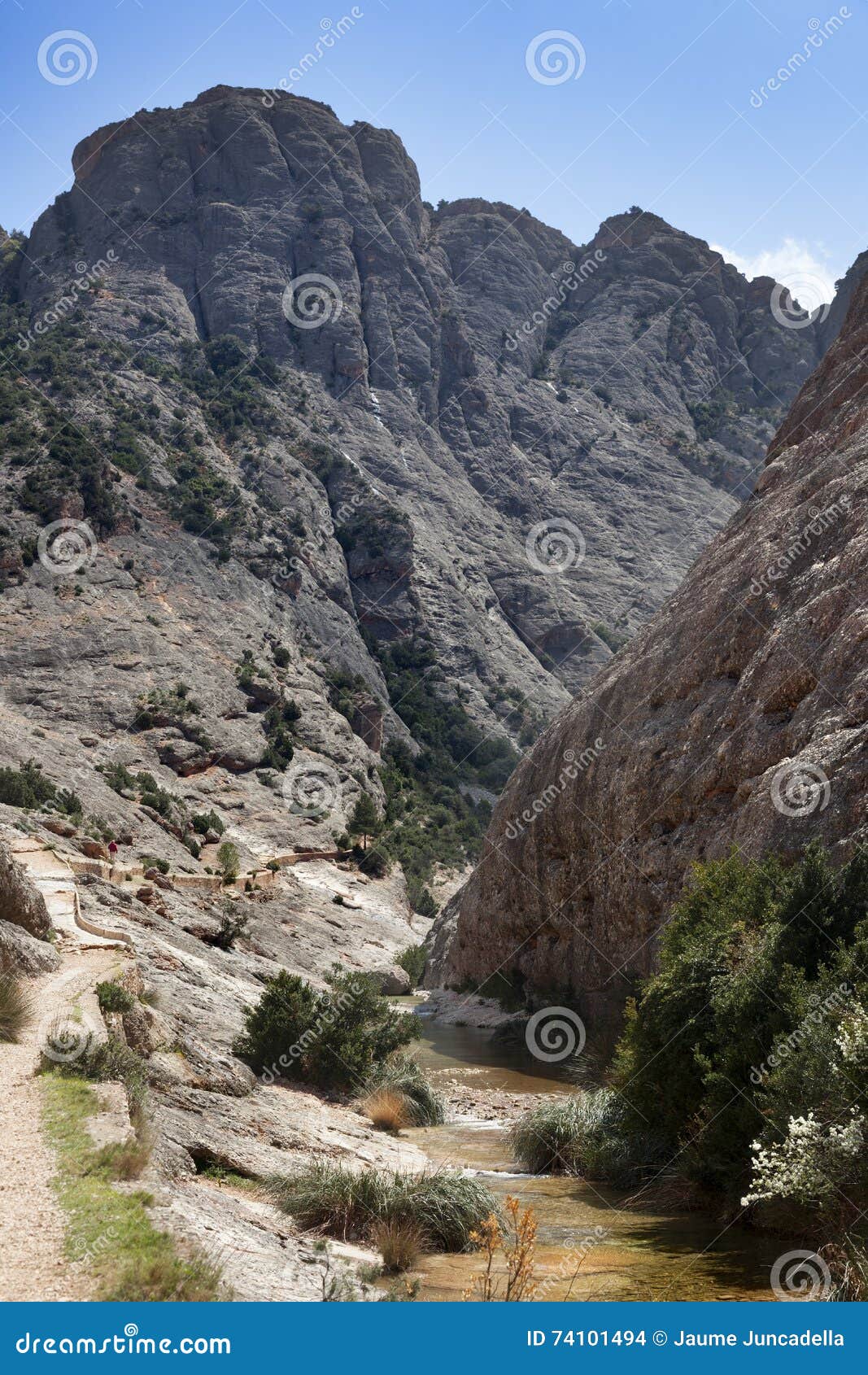 River gorge in Spain stock photo. Image of green, ravine - 74101494