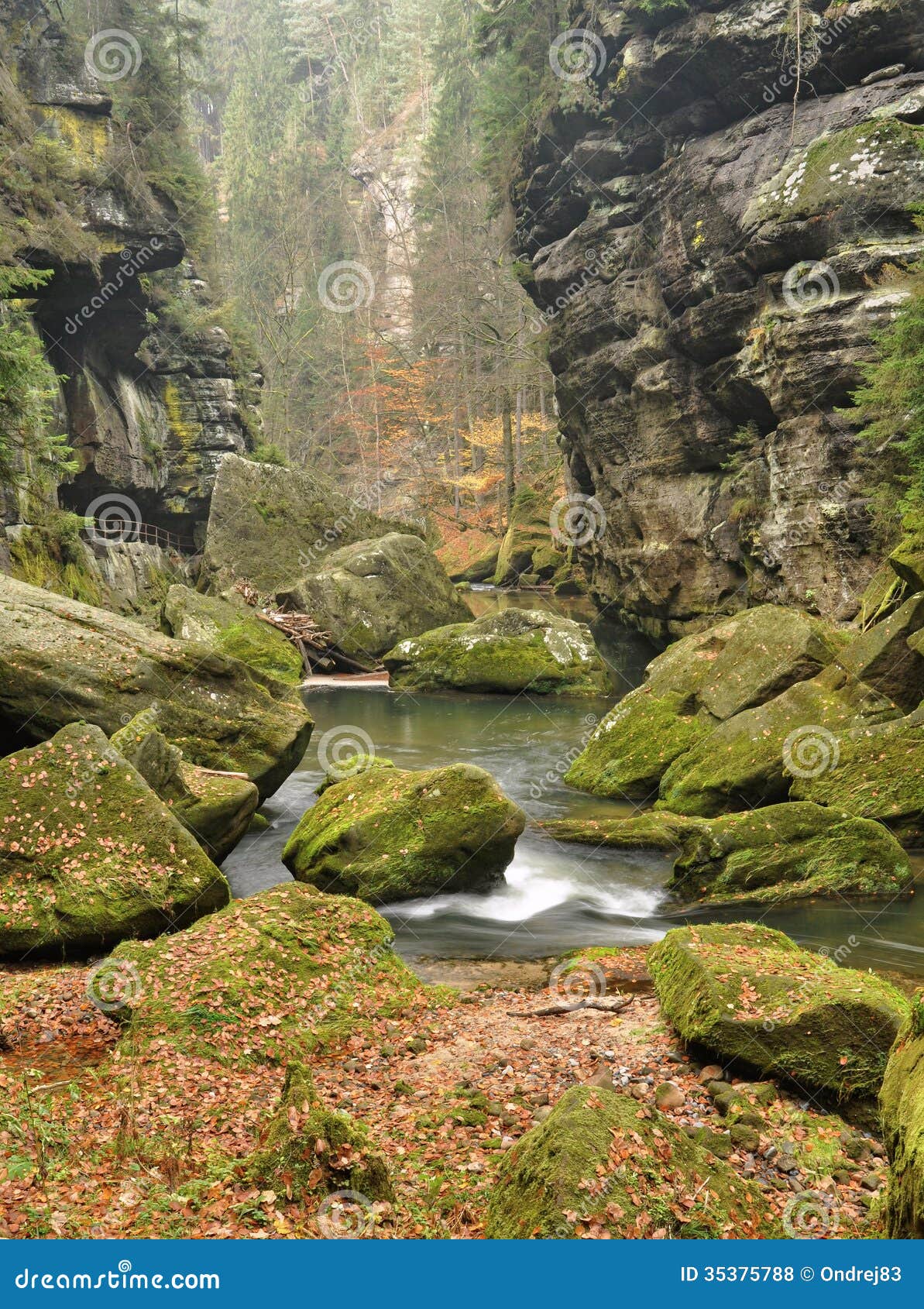 River in gorges stock photo. Image of leaf, foliage, nature - 35375788