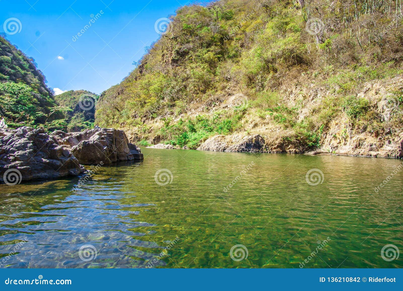 River Green Color in Tropical Country Stock Photo - Image of green ...