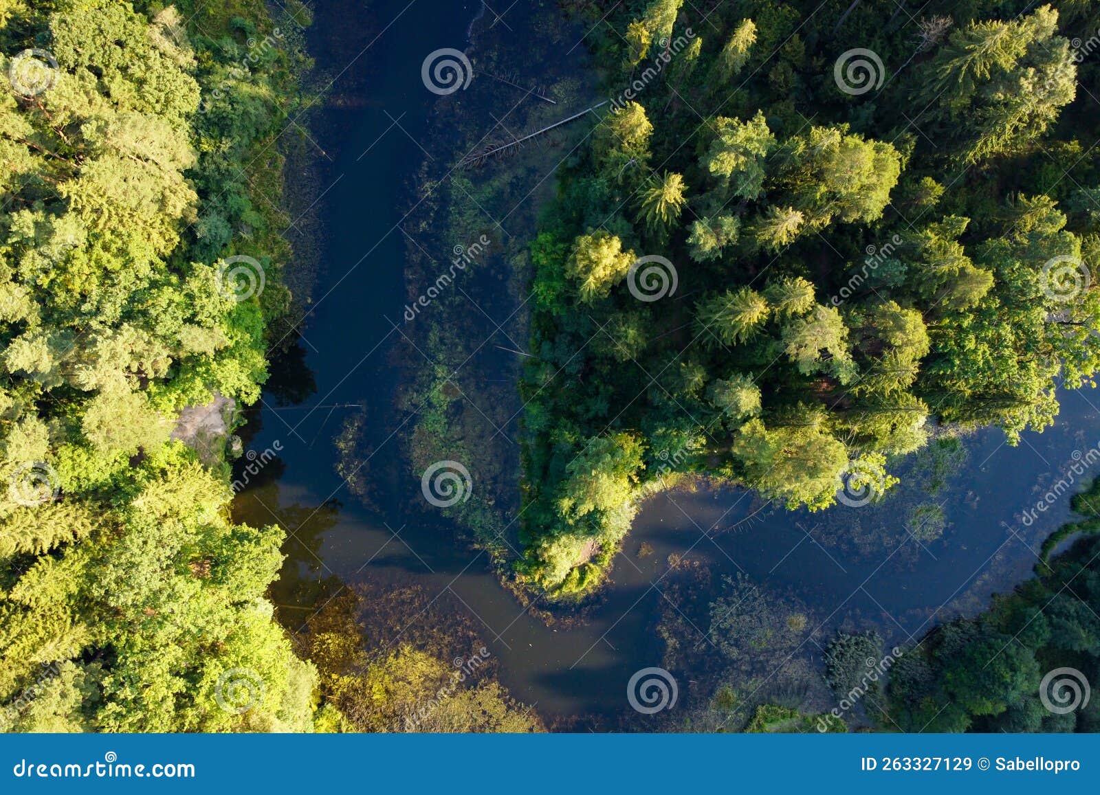 River and Green Forest Aerial View Stock Image - Image of summer ...