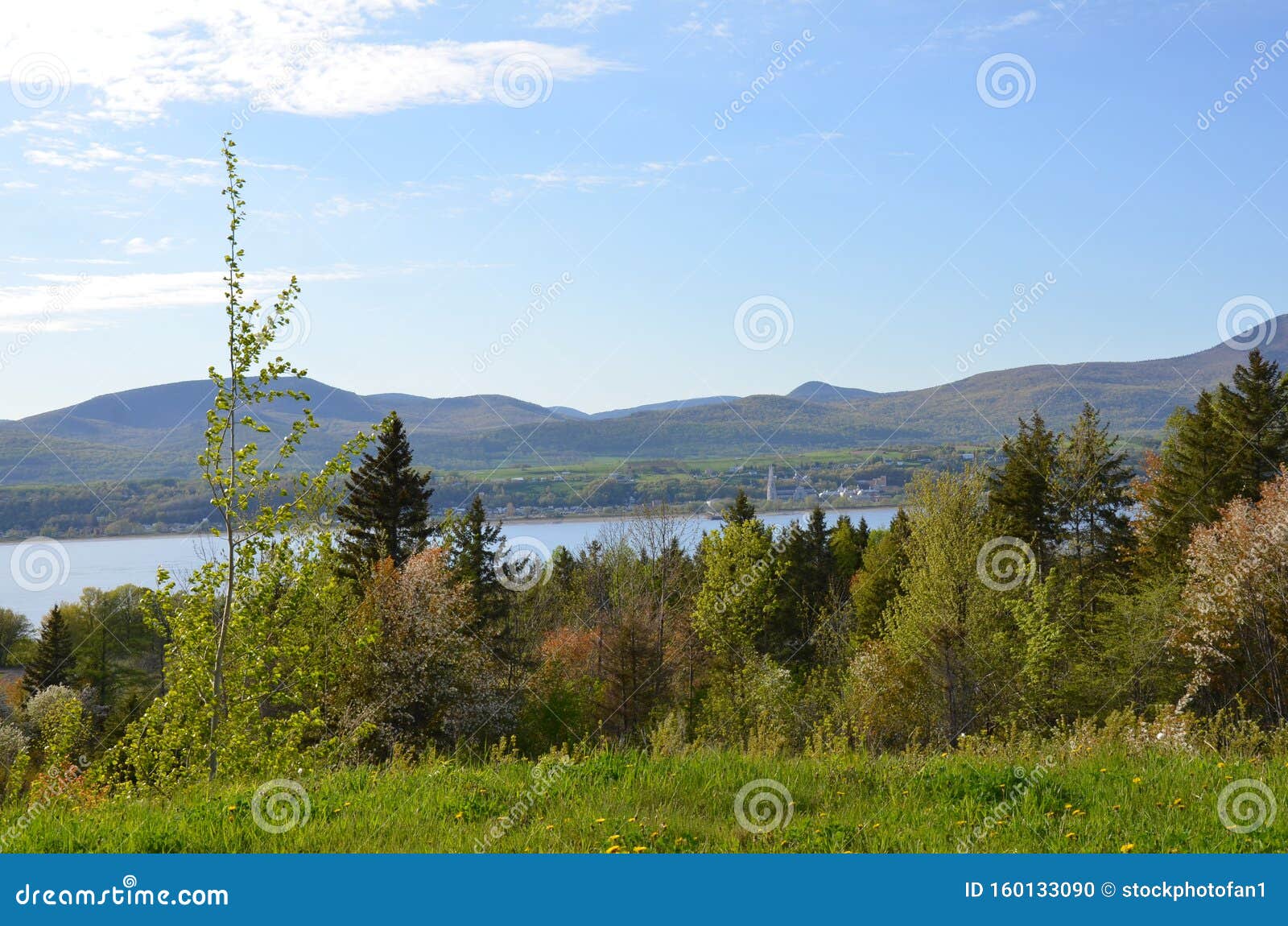 River and Green Grass and Trees in Quebec, Canada Stock Photo - Image ...
