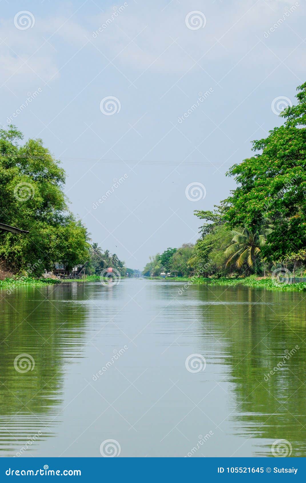 River and green Nature stock image. Image of field, scene - 105521645